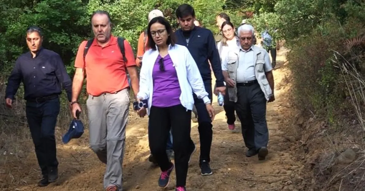 Yalova Ortaburun Tabiat Parkı turizm cenneti olacak - Yalova Haberleri