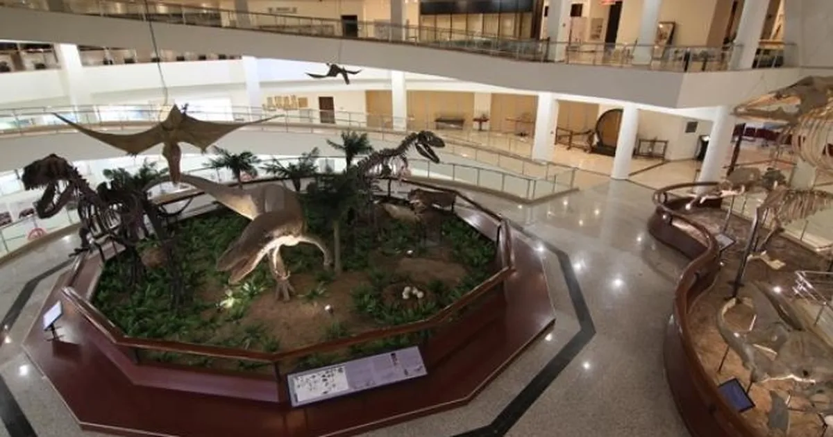 MTA Tabiat Tarihi Müzesi Nerede Nasıl Gidilir? Giriş Ücreti Ziyaret ...